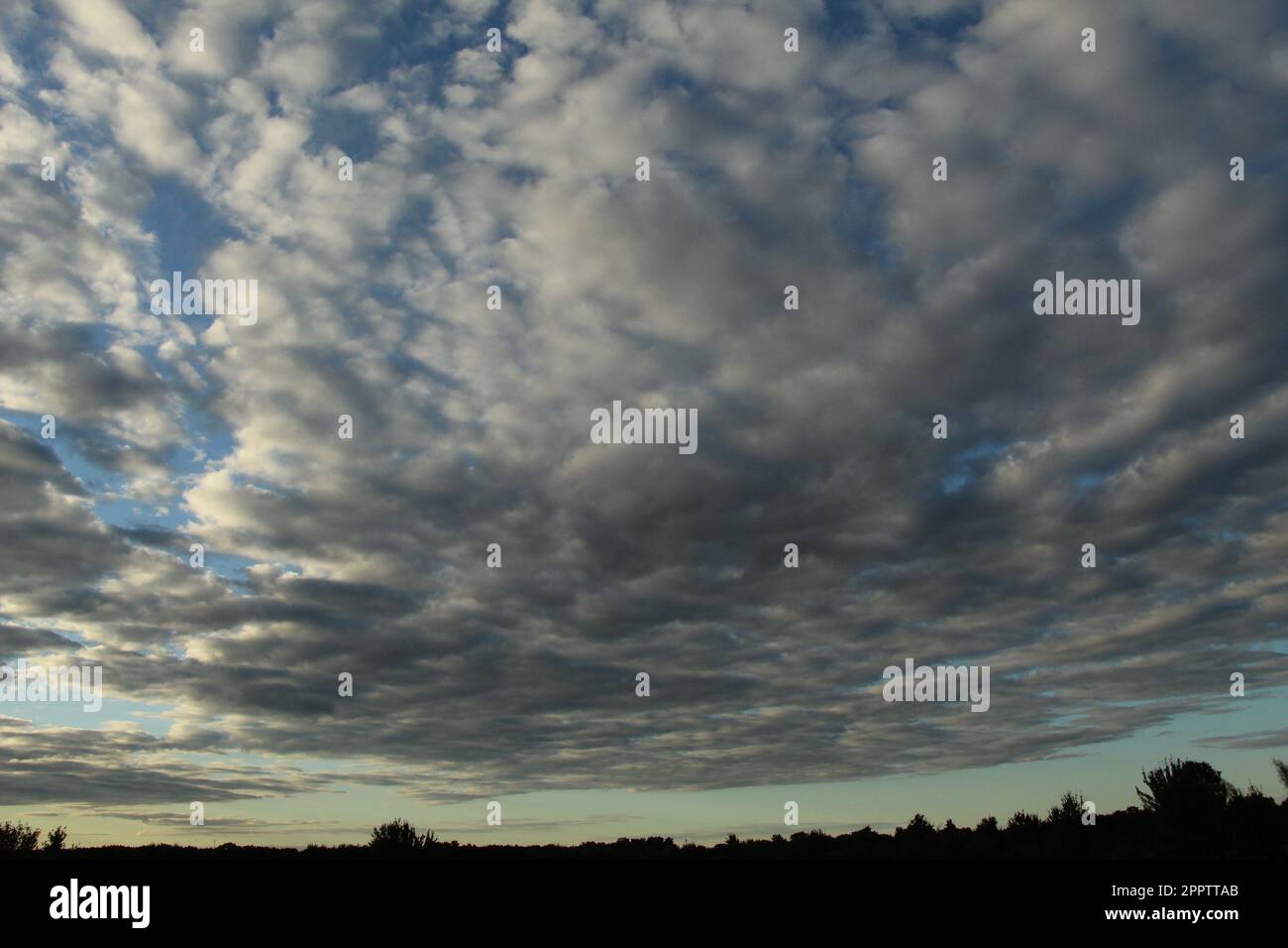 Harbingers of rain hi-res stock photography and images - Alamy