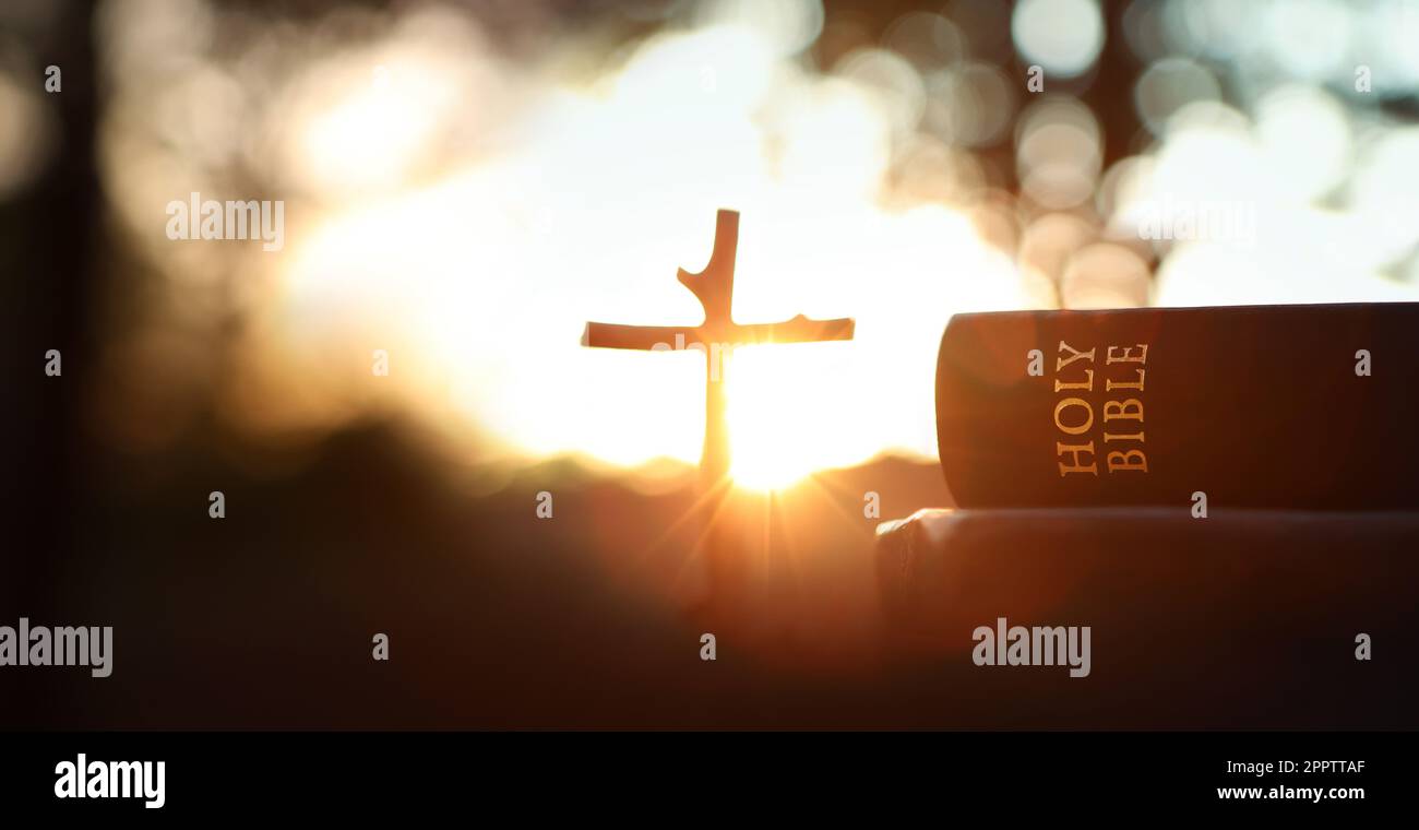 The light through the forest trees at sunset, the holy cross ...