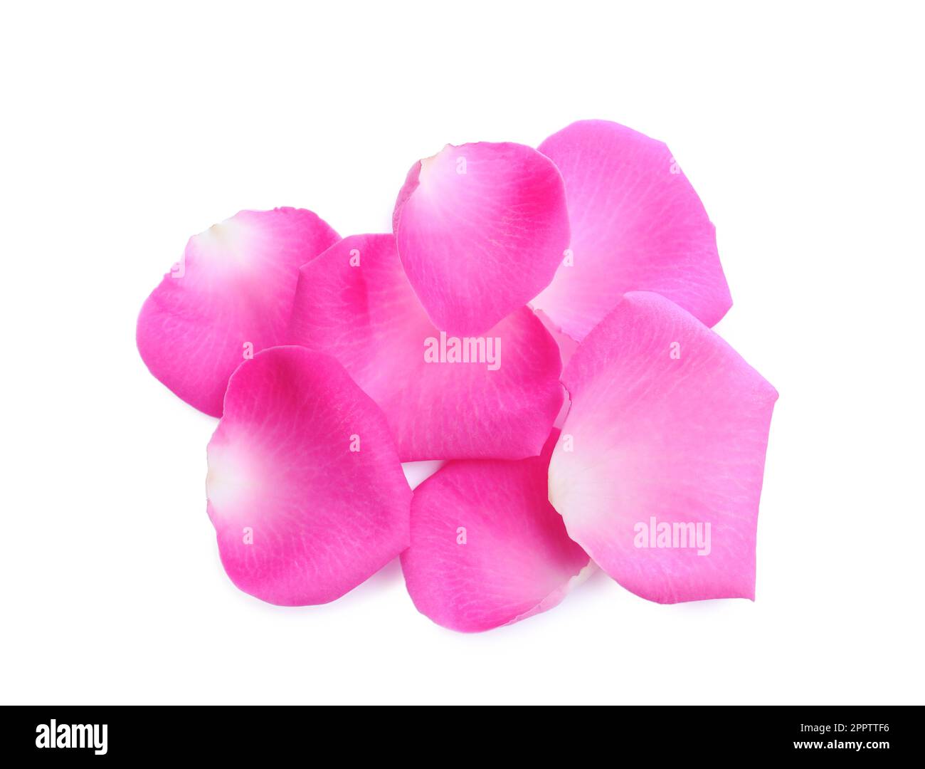 White rose petals top view Cut Out Stock Images & Pictures - Alamy