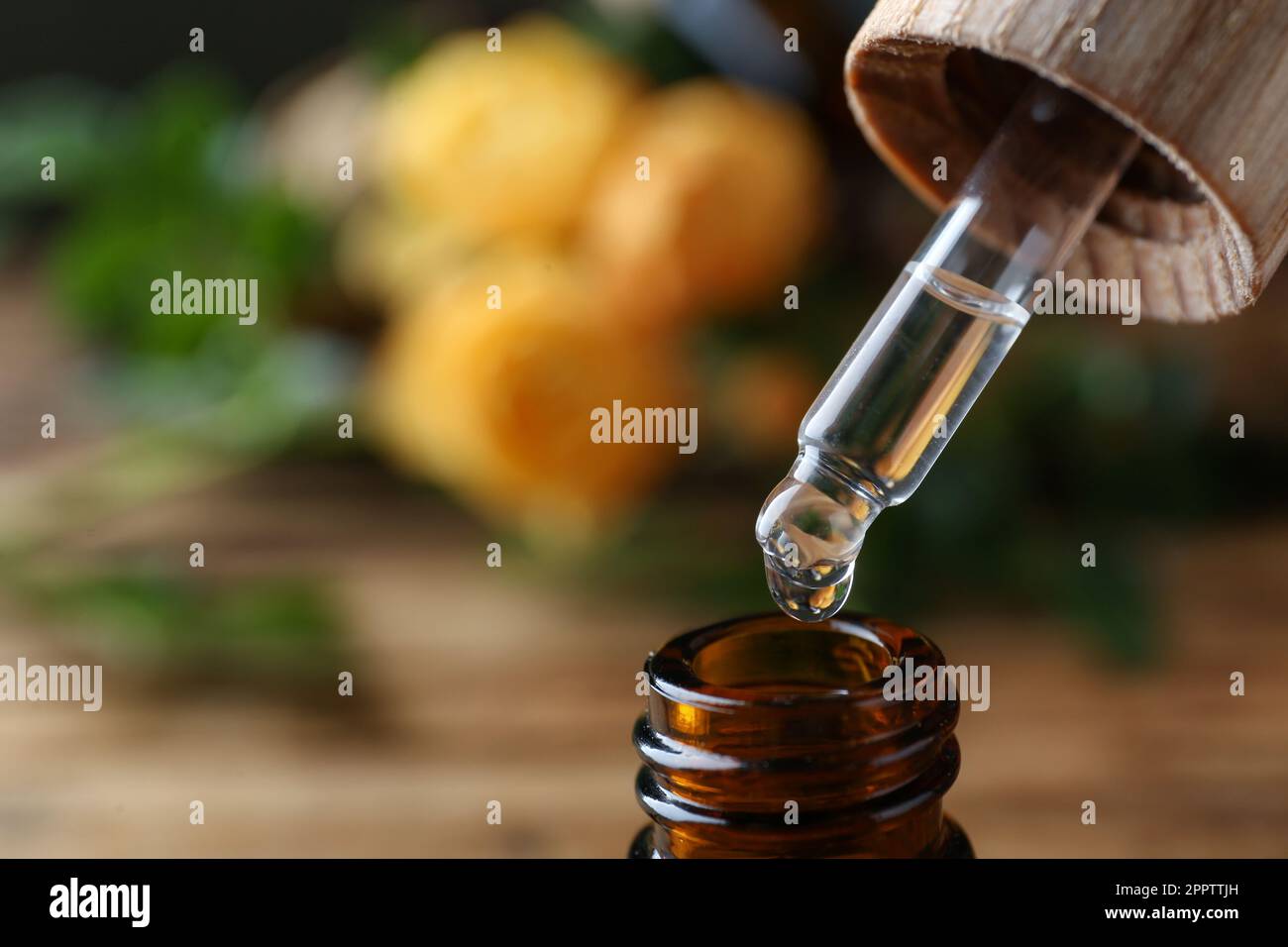 Dripping rose essential oil from pipette into bottle on blurred ...
