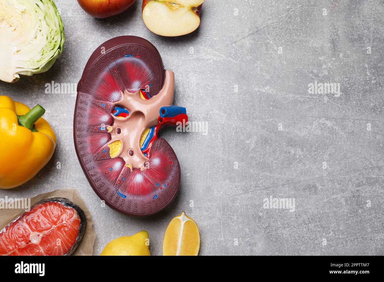 Flat lay composition with kidney model and different products on grey ...