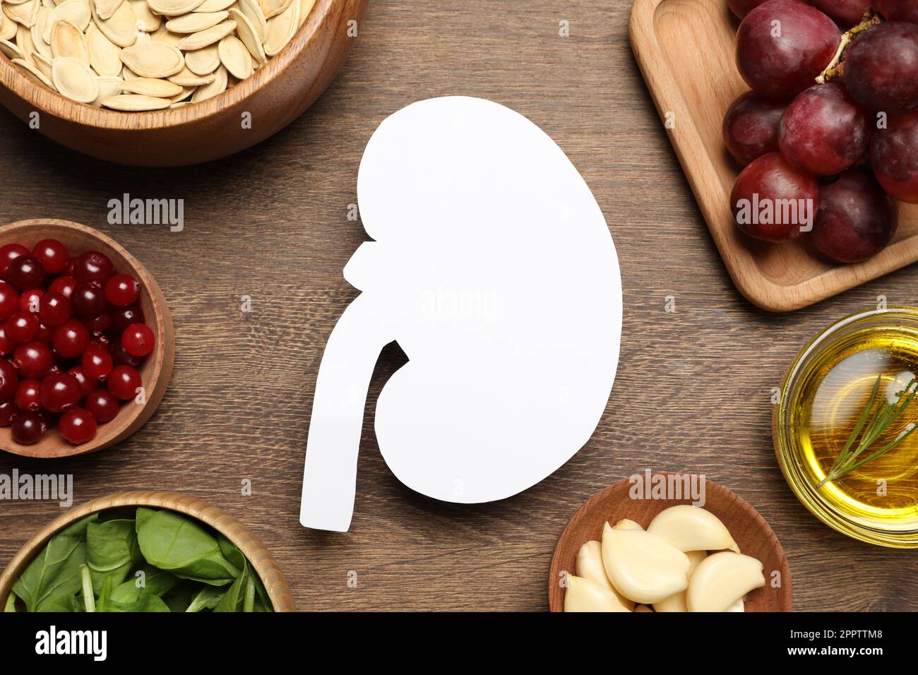 Flat lay composition with paper cutout of kidney and different products ...