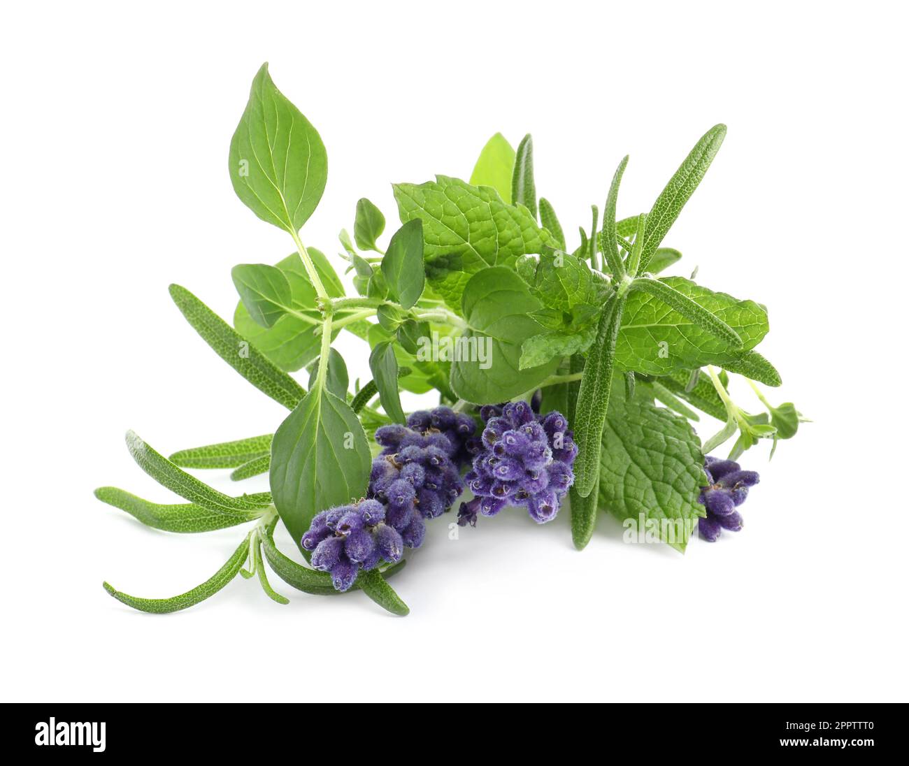 Various aromatic culinary herbs thyme Cut Out Stock Images & Pictures ...