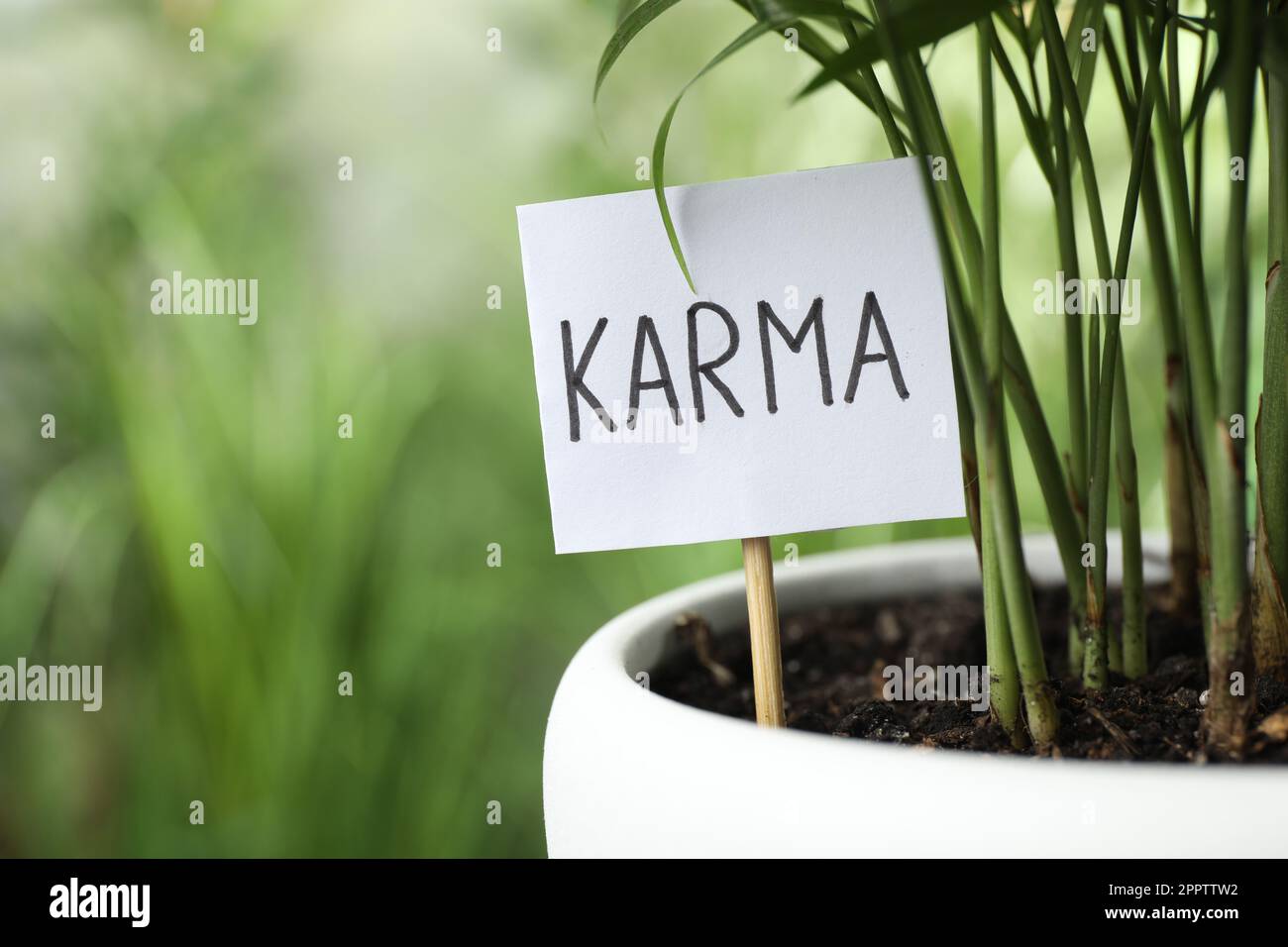 Sign with word Karma and plant in pot on blurred background, closeup ...