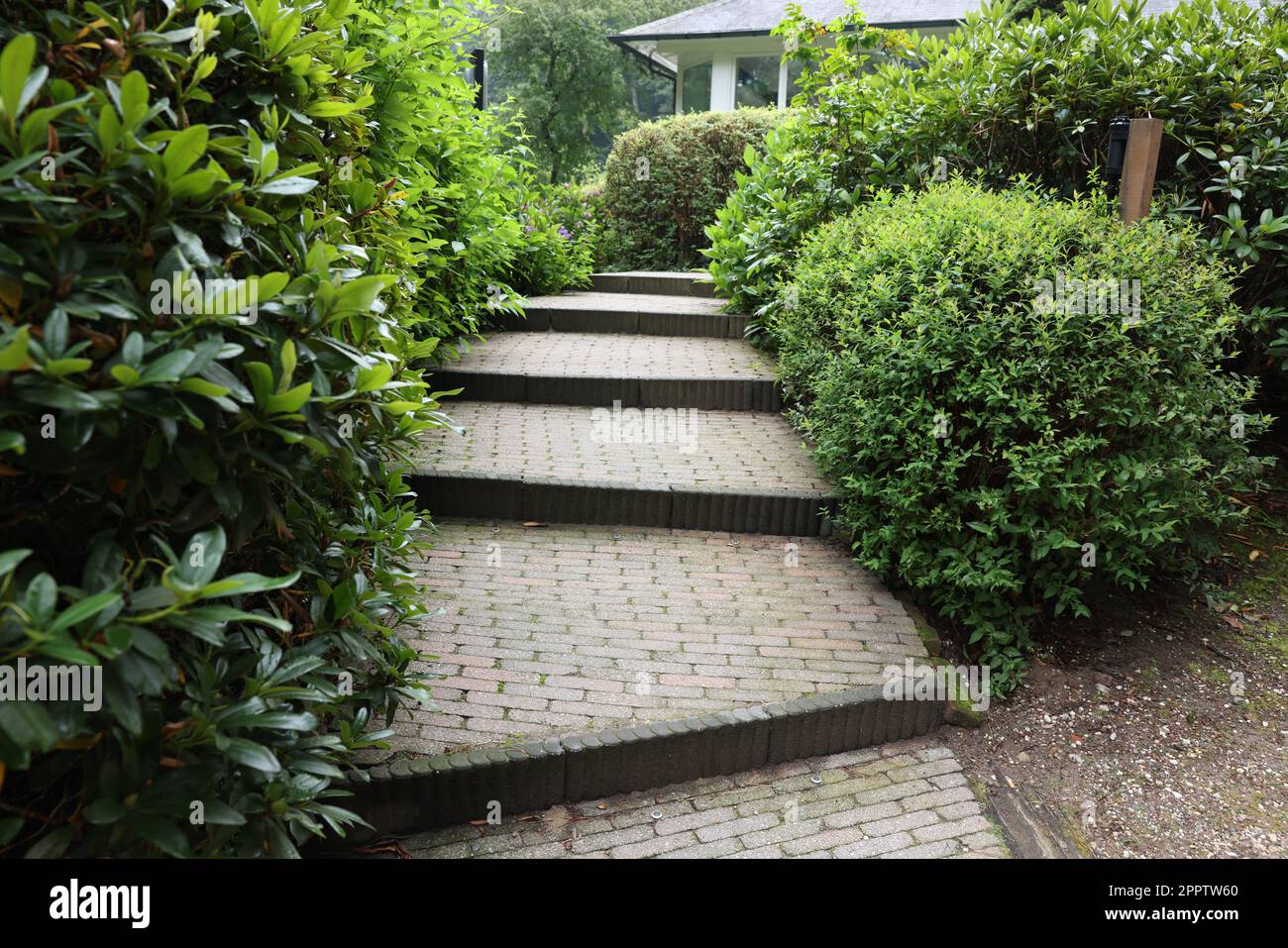 Lovely garden with green shrubbery and paved stairs. Landscape design ...