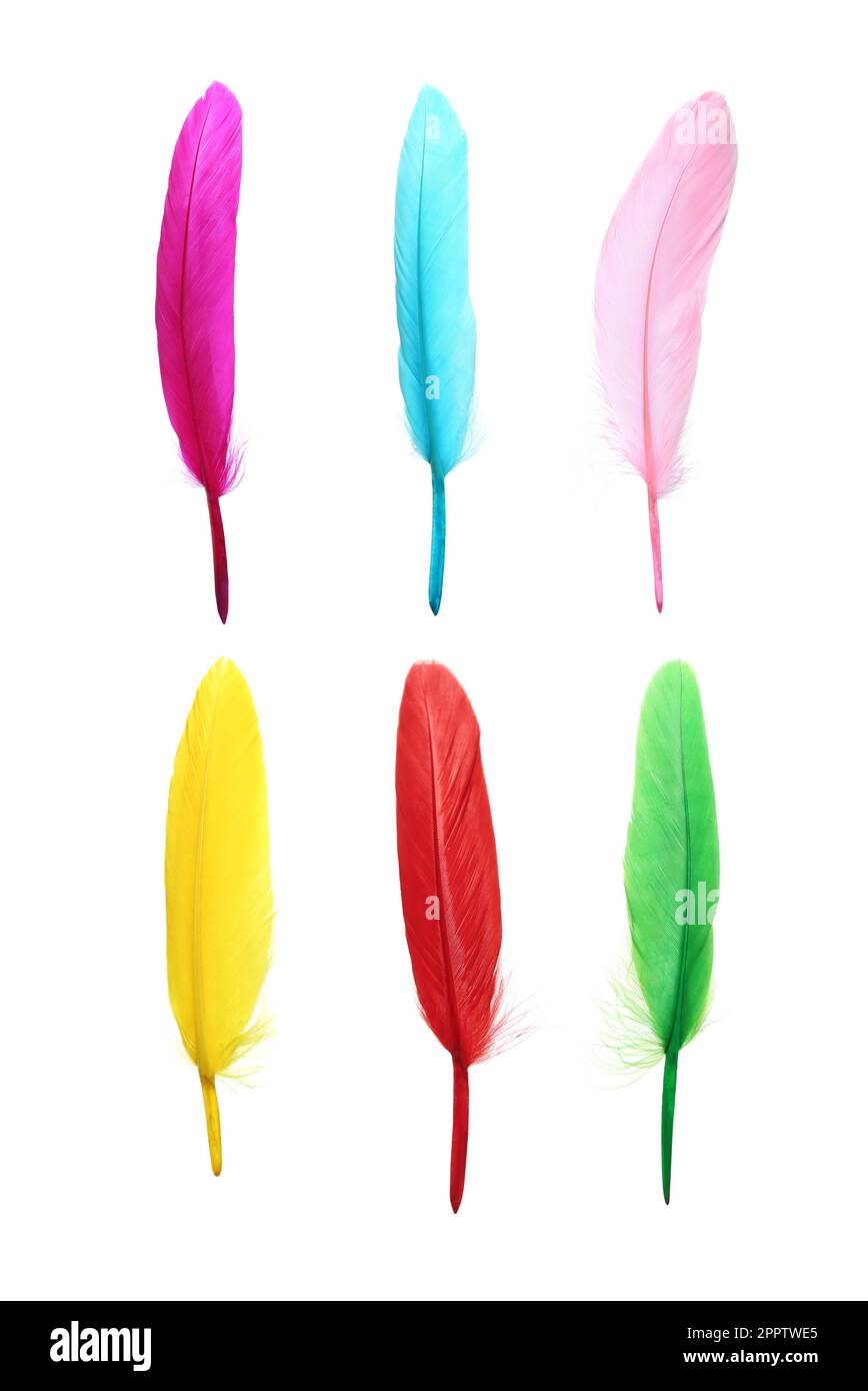 Set with different beautiful color feathers on white background Stock ...