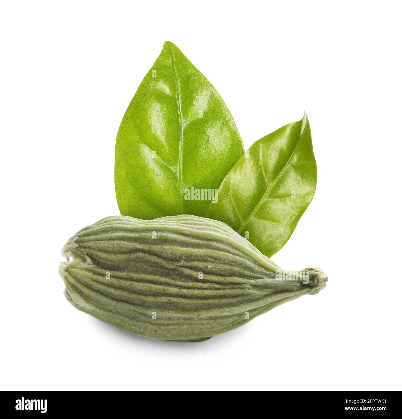 Dry cardamom pod and green leaves on white background Stock Photo - Alamy