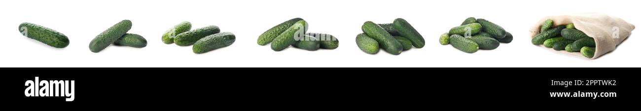 Set with whole ripe cucumbers on white background. Banner design Stock ...