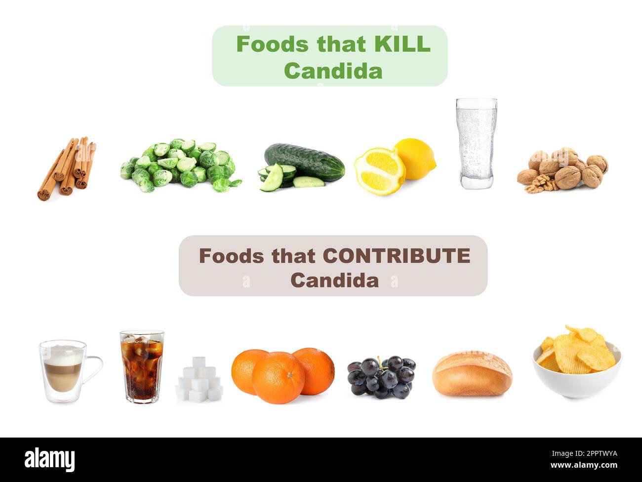 List of foods that kill and contribute Candida on white background ...