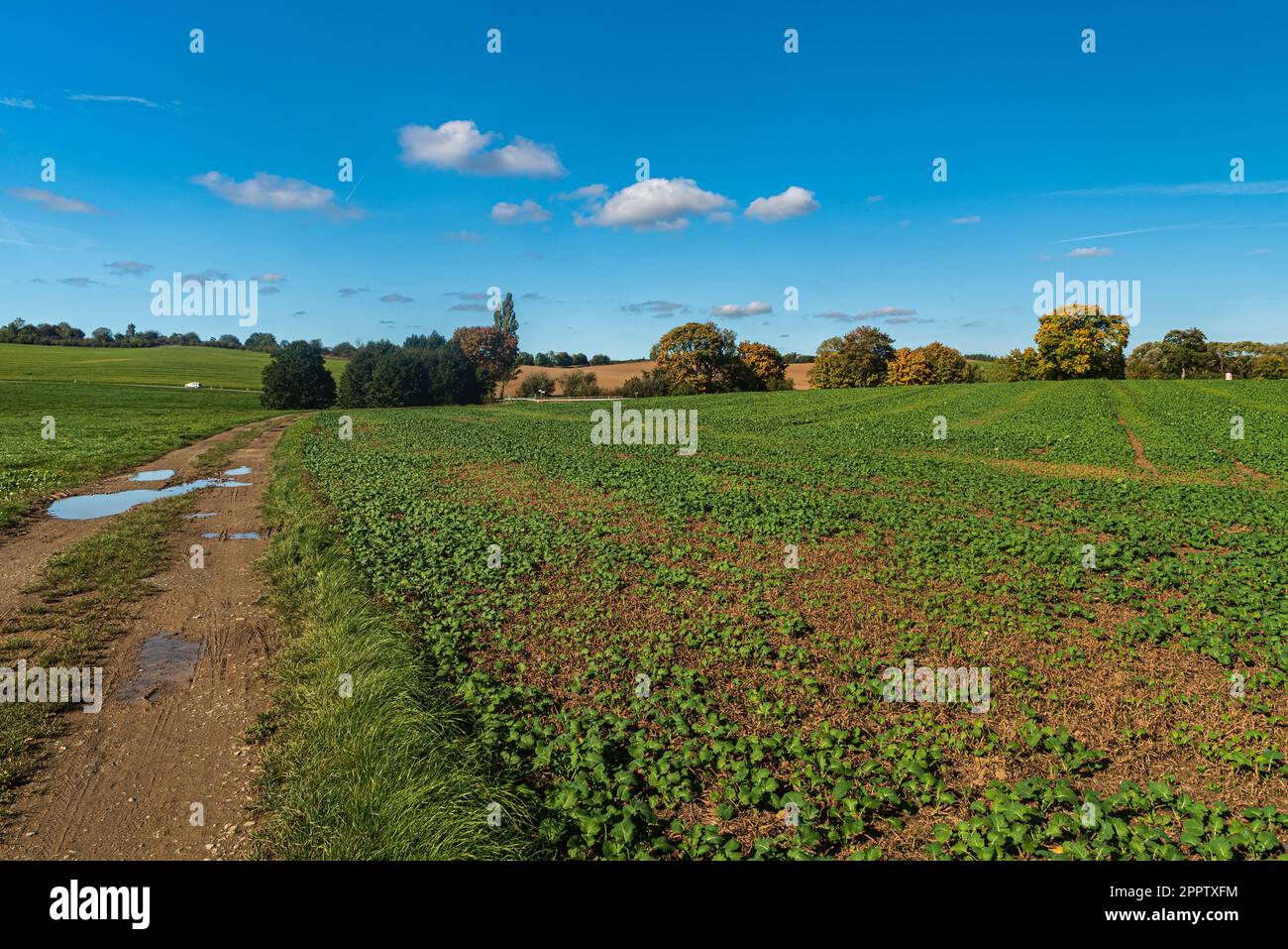 Early autumn countryside with meadows, fields, colorful trees and blue ...