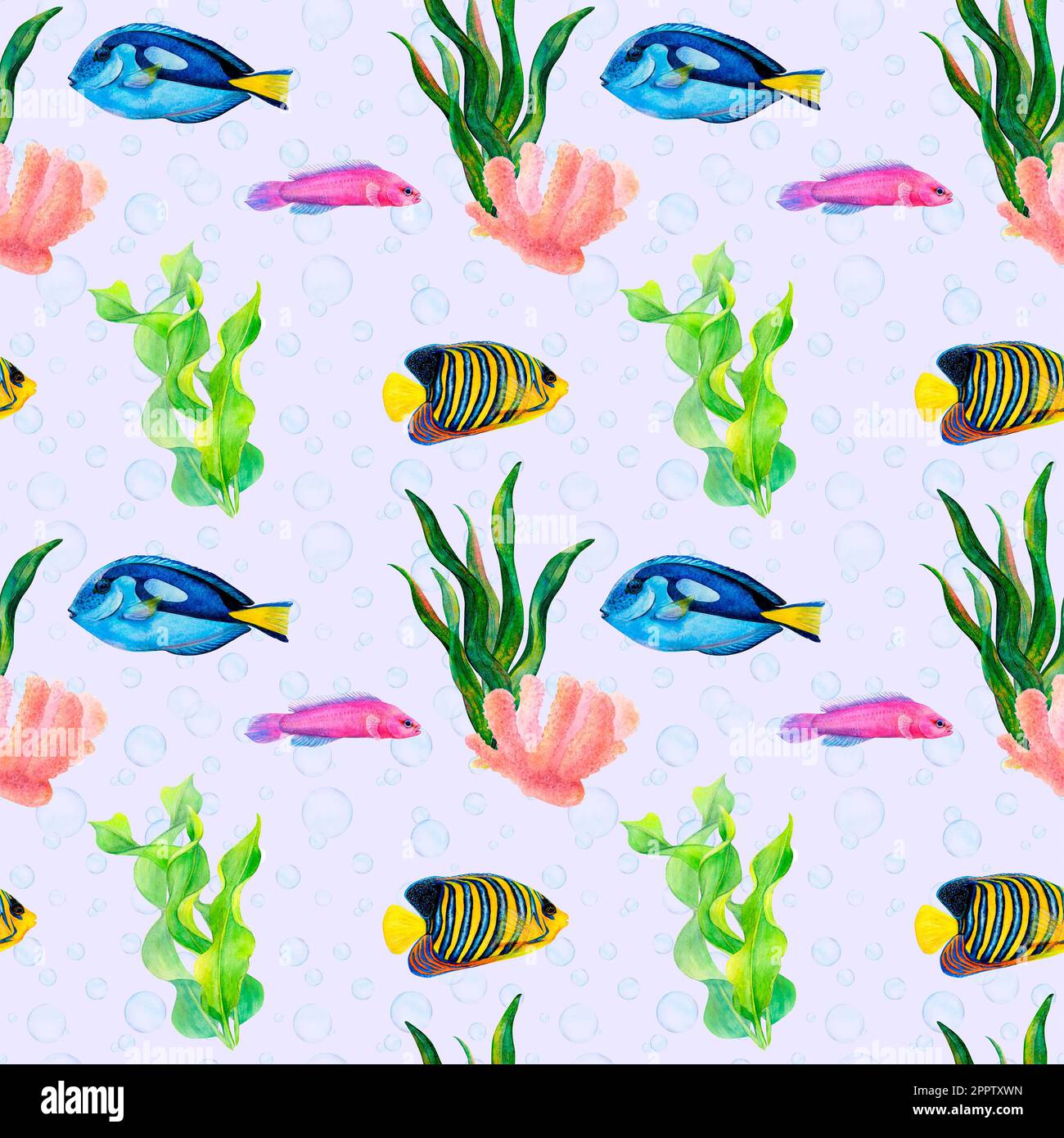 Watercolor drawing rapport of ribbon algae, butterfly fish, surgeon ...