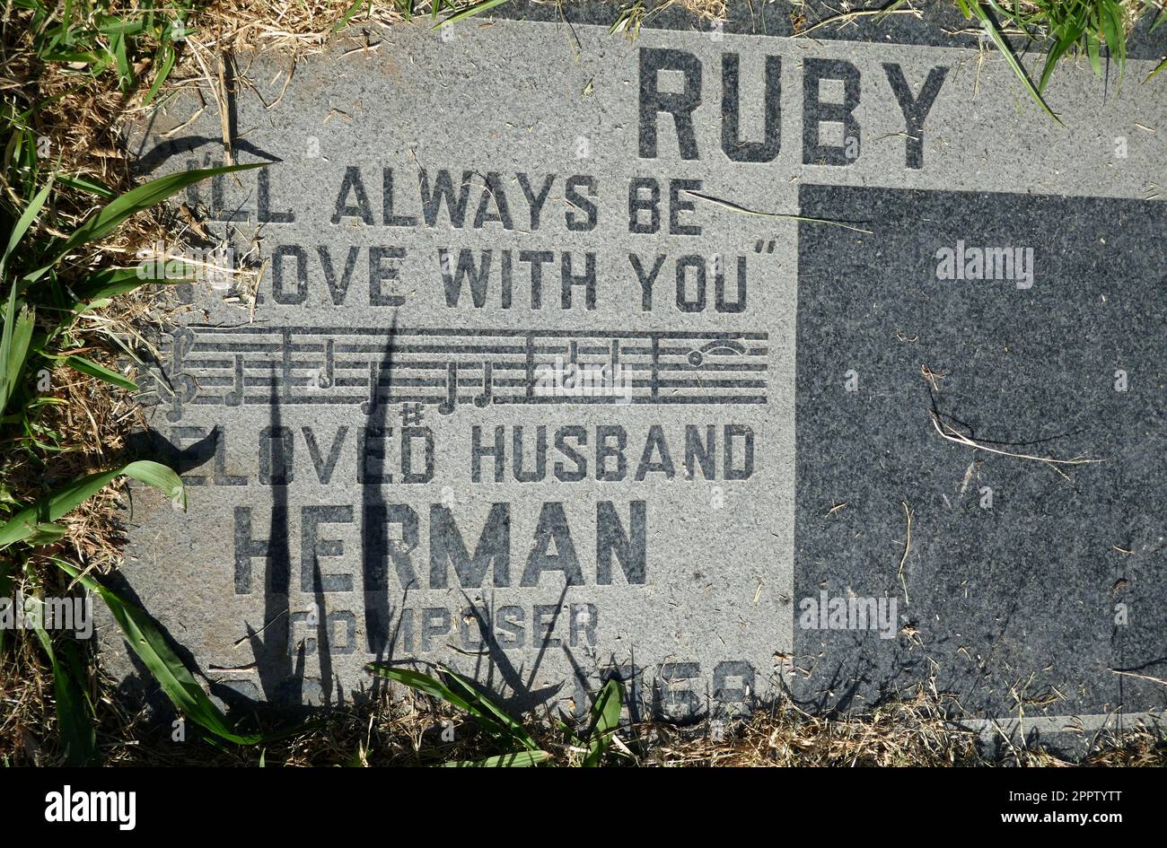 Los Angeles, California, USA 20th April 2023 Screenwriter/Songwriter ...