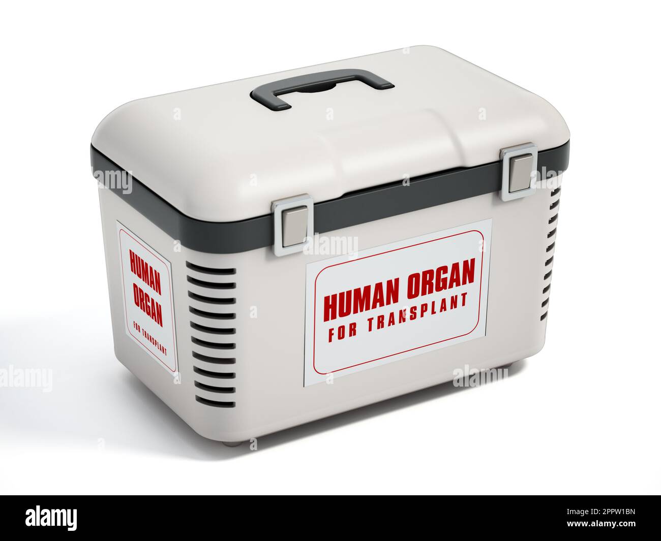 Human organ transport box isolated on white background. 3D illustration ...