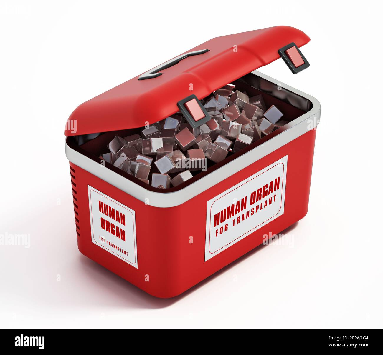 Human organ transport box isolated on white background. 3D illustration ...