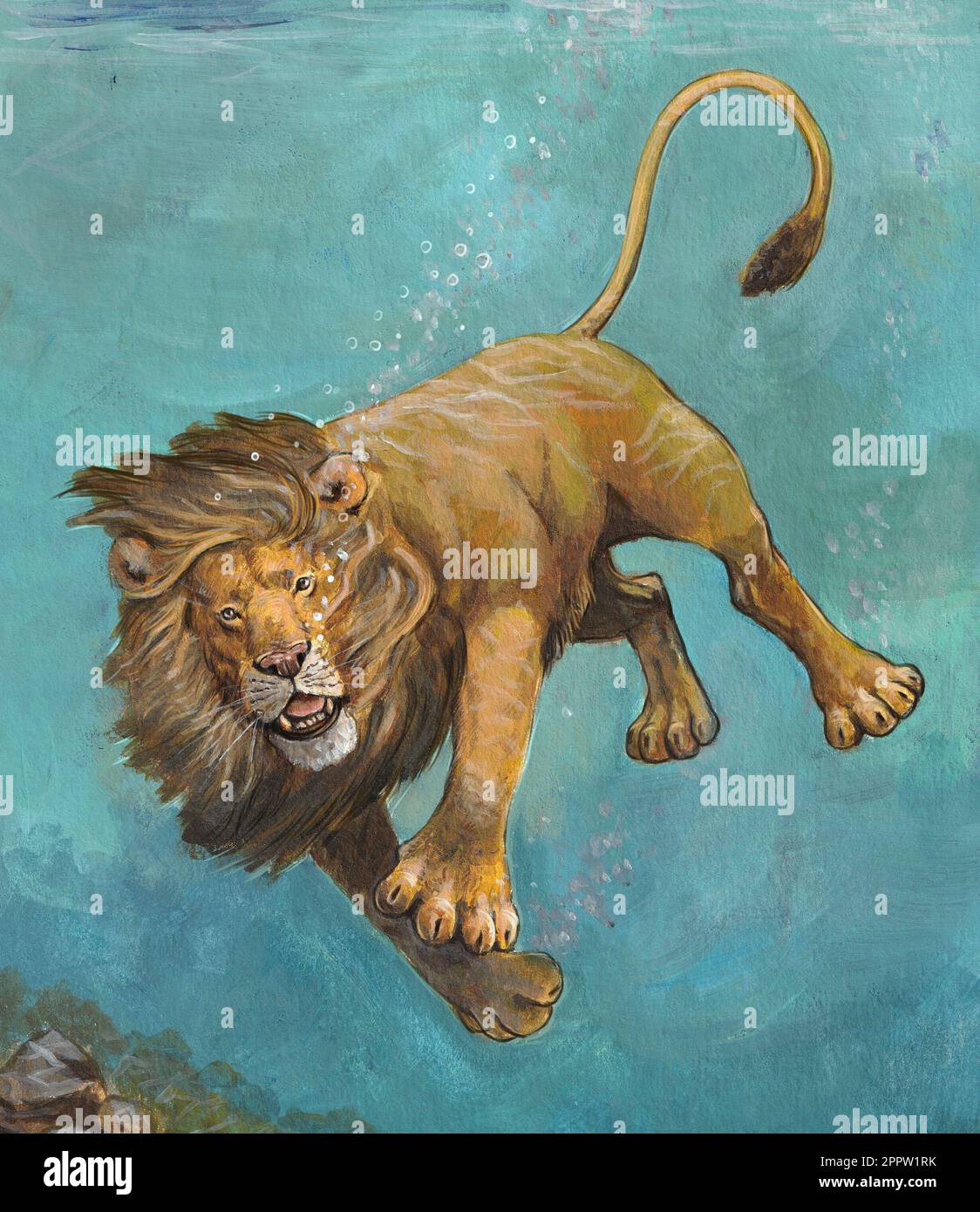Swimming lion. Handmade illustration with big African cat Stock Photo ...