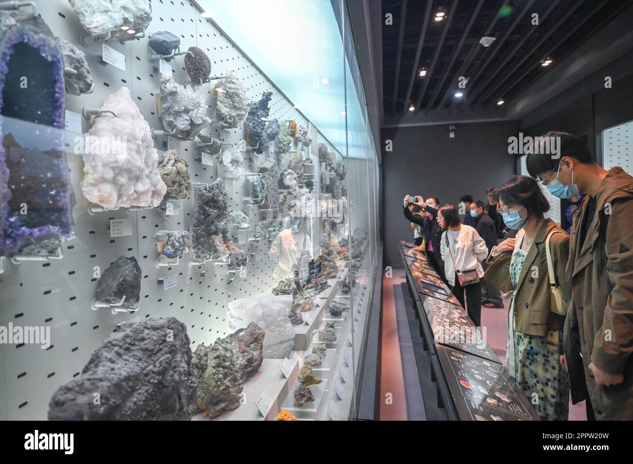 People visit the Zhejiang Museum of Natural History to welcome the ...