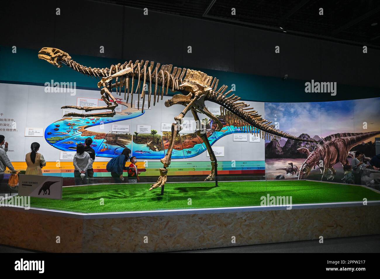 People visit the Zhejiang Museum of Natural History to welcome the ...
