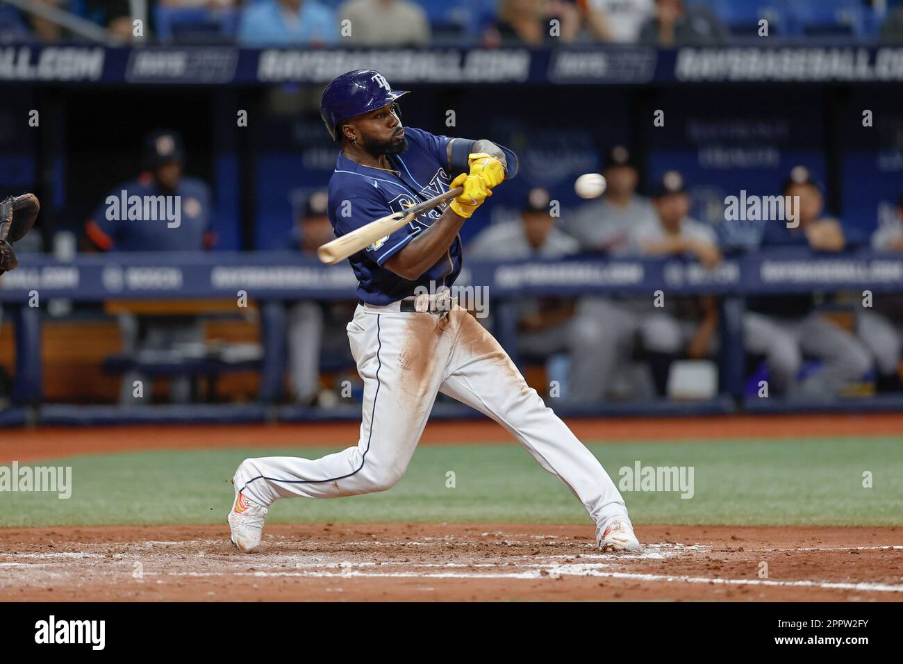 St. Petersburg, FL USA; Tampa Bay Rays left fielder Randy Arozarena (56 ...