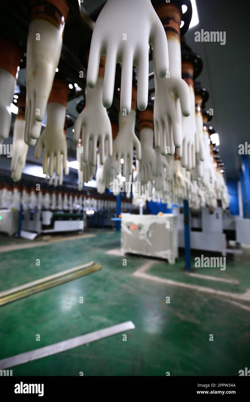 Gloves factory production workshop and mechanical equipment Stock Photo ...