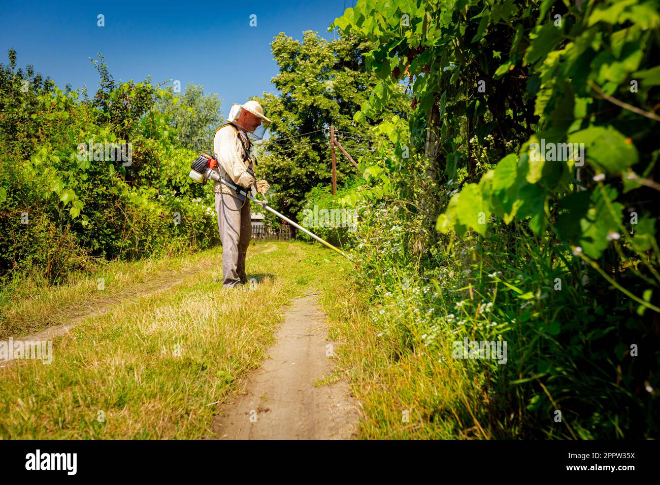 Gardener is wearing protective overall and cutting grass in his yard ...