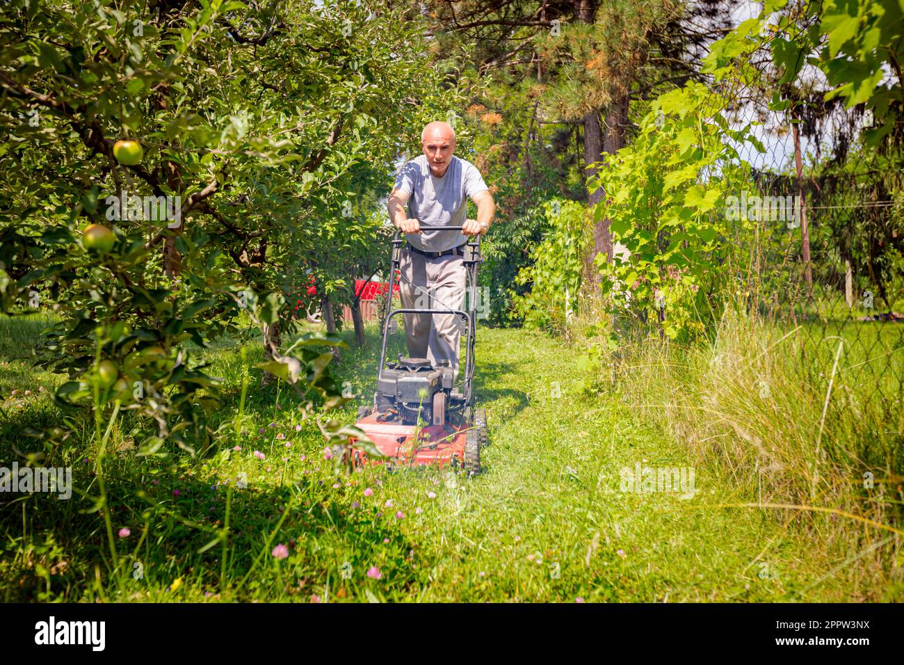 Cutting grass manually hi-res stock photography and images - Alamy