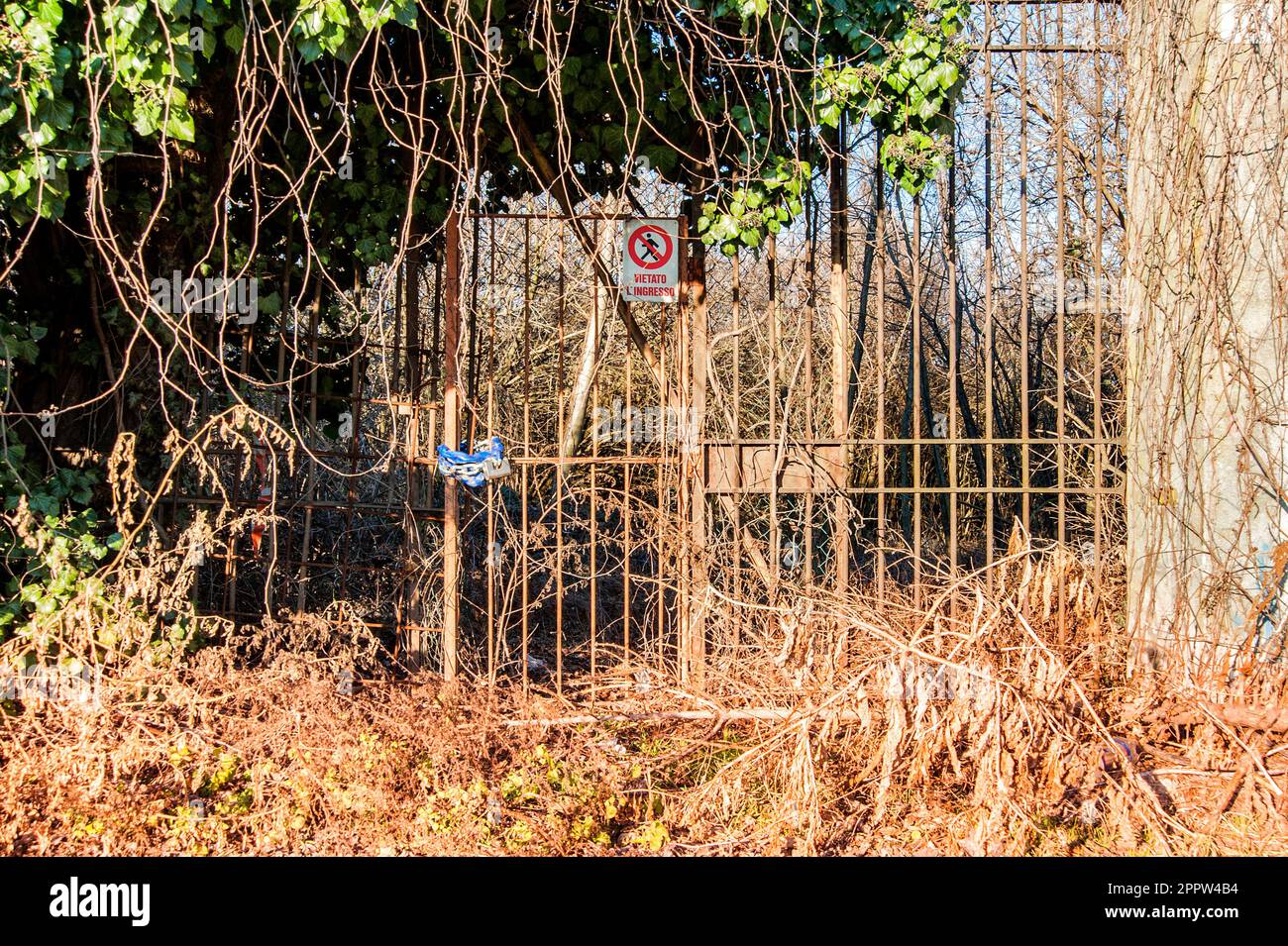 In the countryside, among the undergrowth, an abandoned gate with no ...