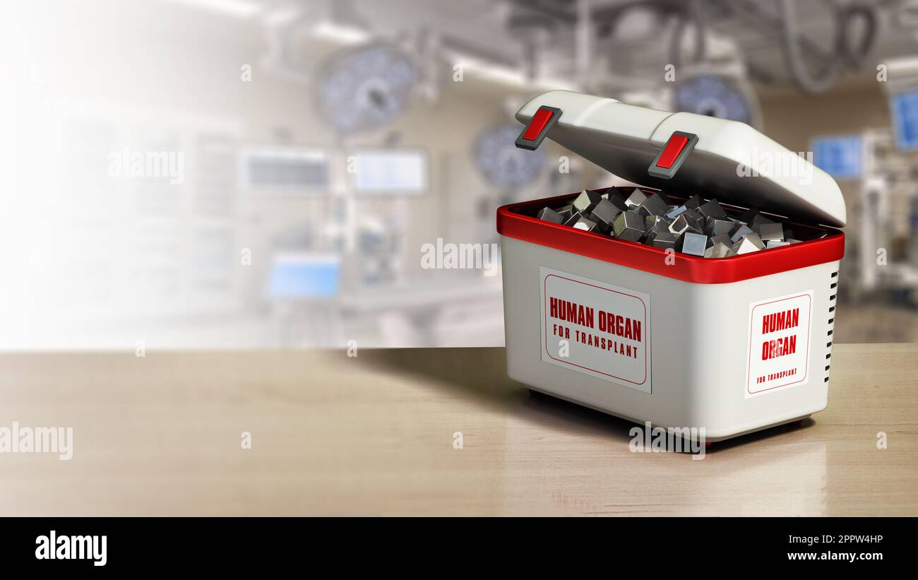 Human organ transport box in the operating room. With copy space. 3D ...