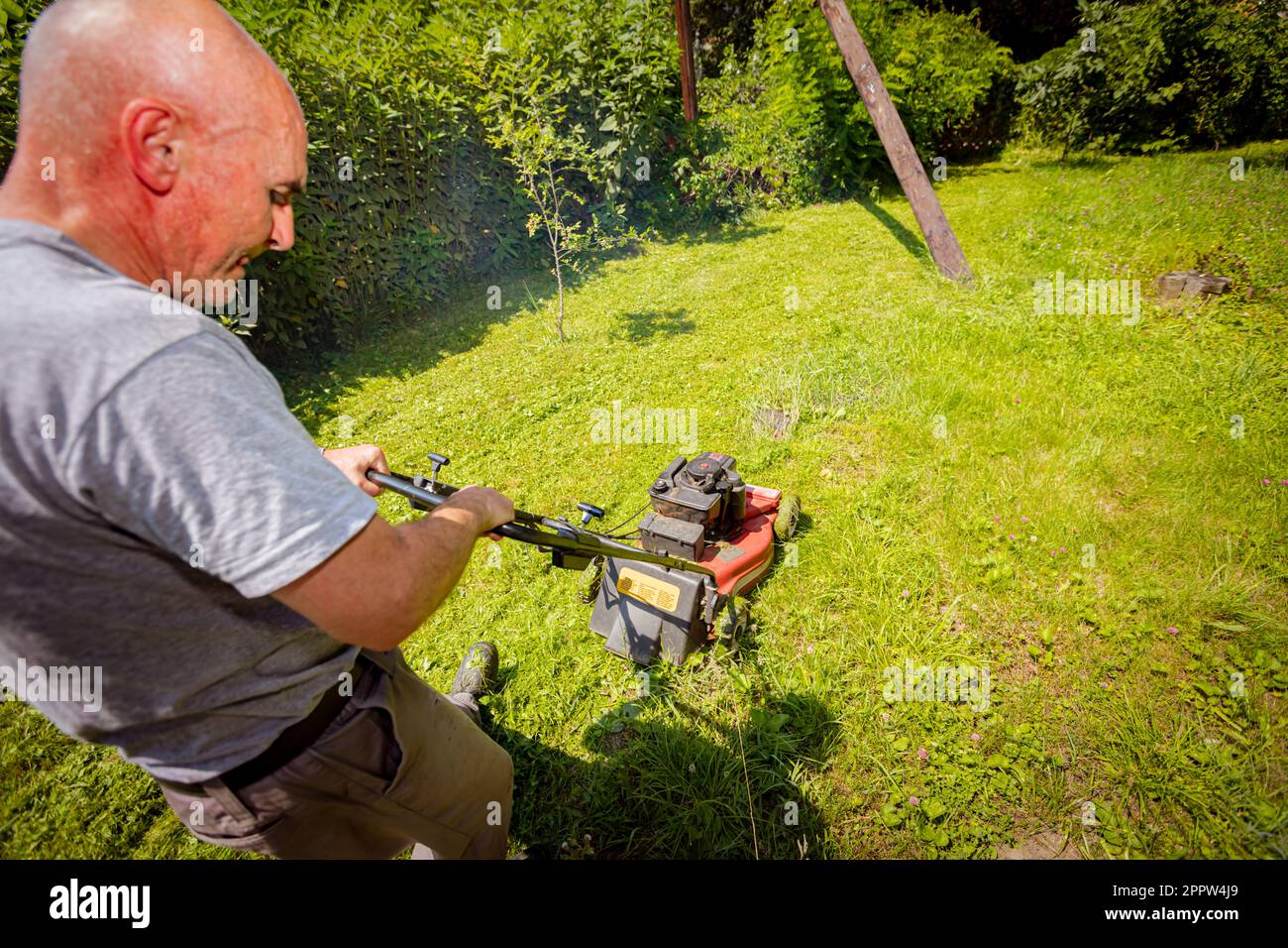 Gardener is cutting grass in his yard with motor lawn mower among fruit ...