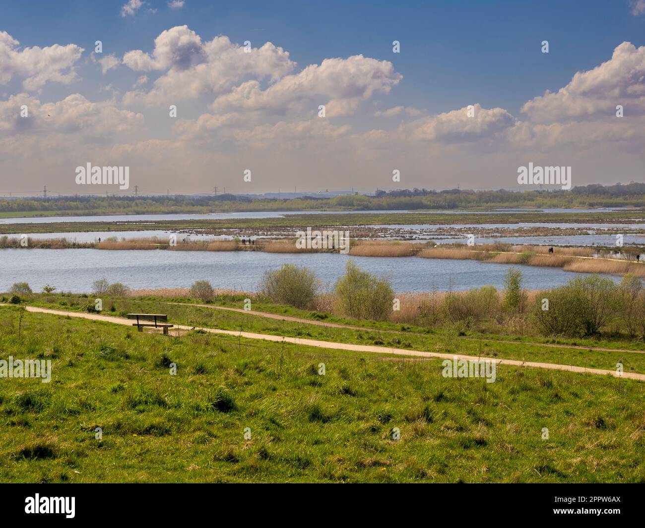 Bower's Lake in St Aidan's park nature reserve on a sunny spring day ...