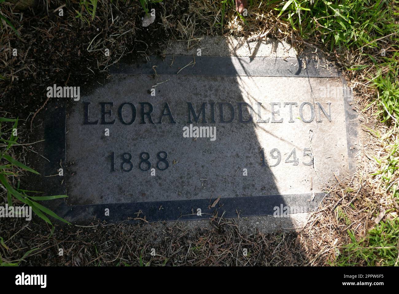 Leora middleton hi-res stock photography and images - Alamy