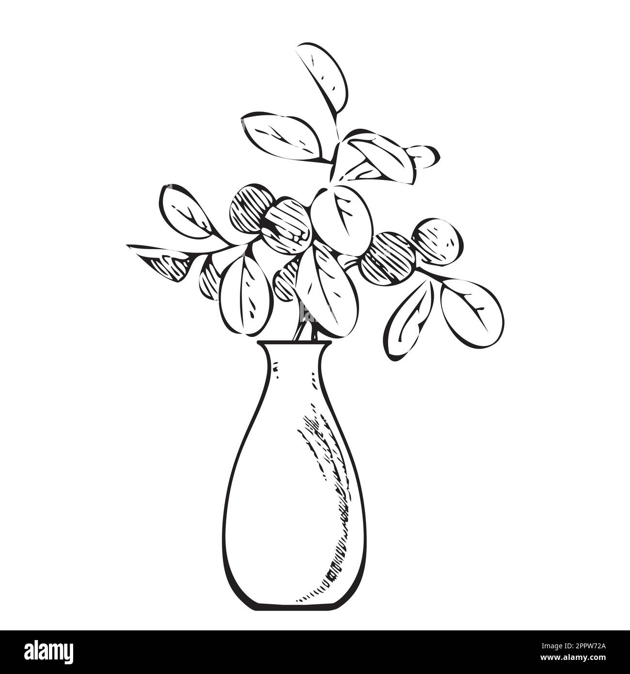 Garden illustration engraving vintage Black and White Stock Photos ...