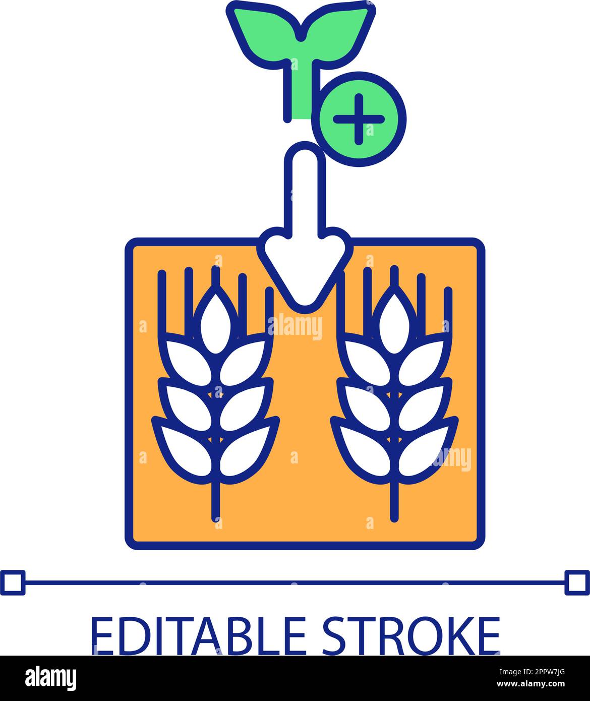 Intercropping Stock Vector Images - Alamy