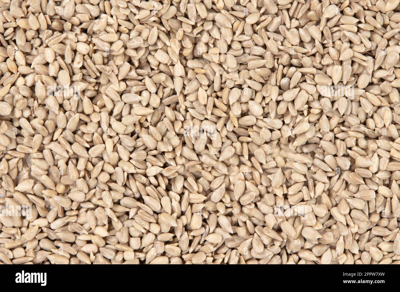 Heap of natural shelled sunflower seeds, full frame Stock Photo - Alamy
