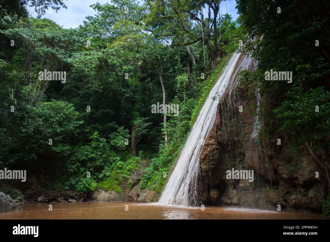 Dominican republic rain forest hi-res stock photography and images - Alamy