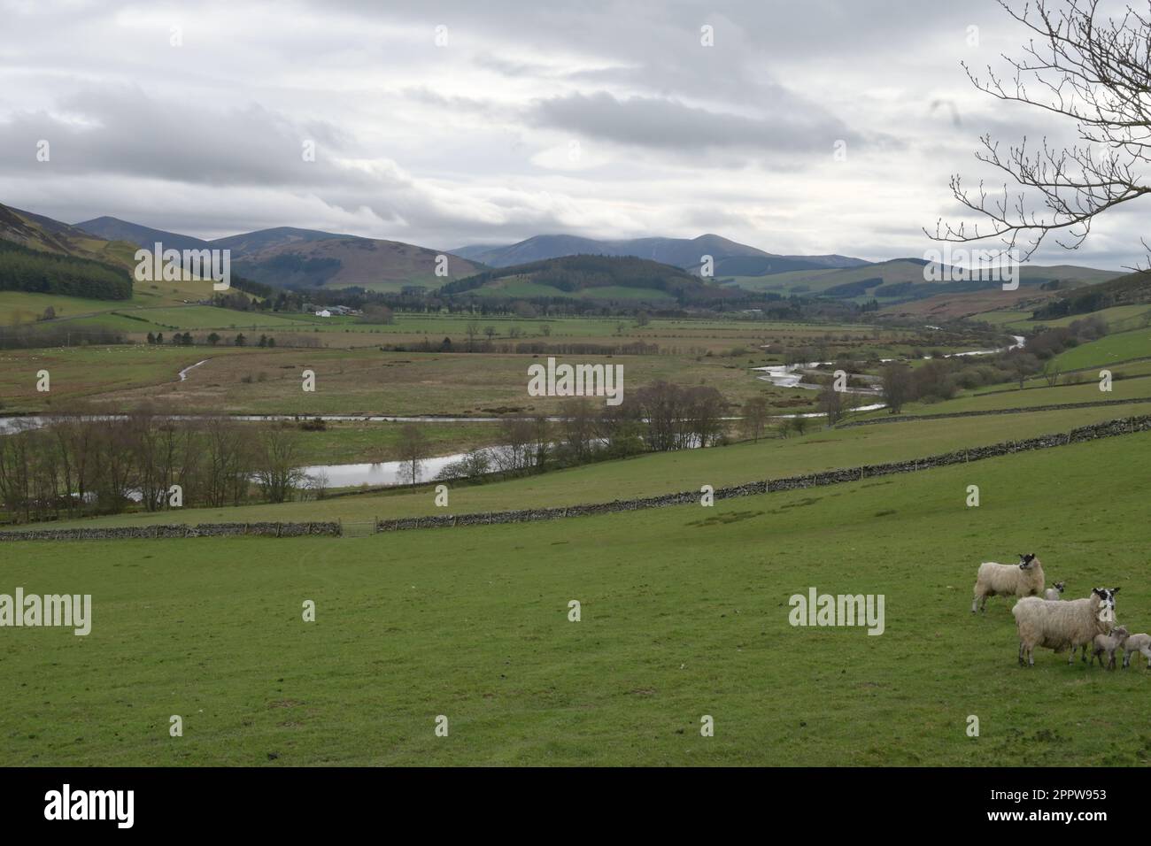 Scottish countryside pictures Stock Photo - Alamy