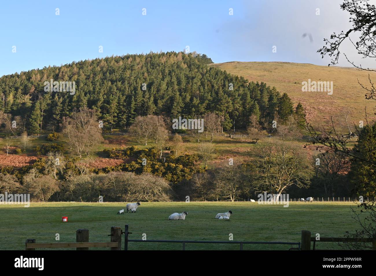 Scottish countryside pictures Stock Photo - Alamy