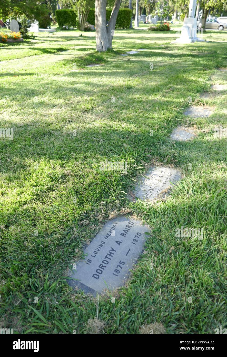 Dorothy baird hi-res stock photography and images - Alamy