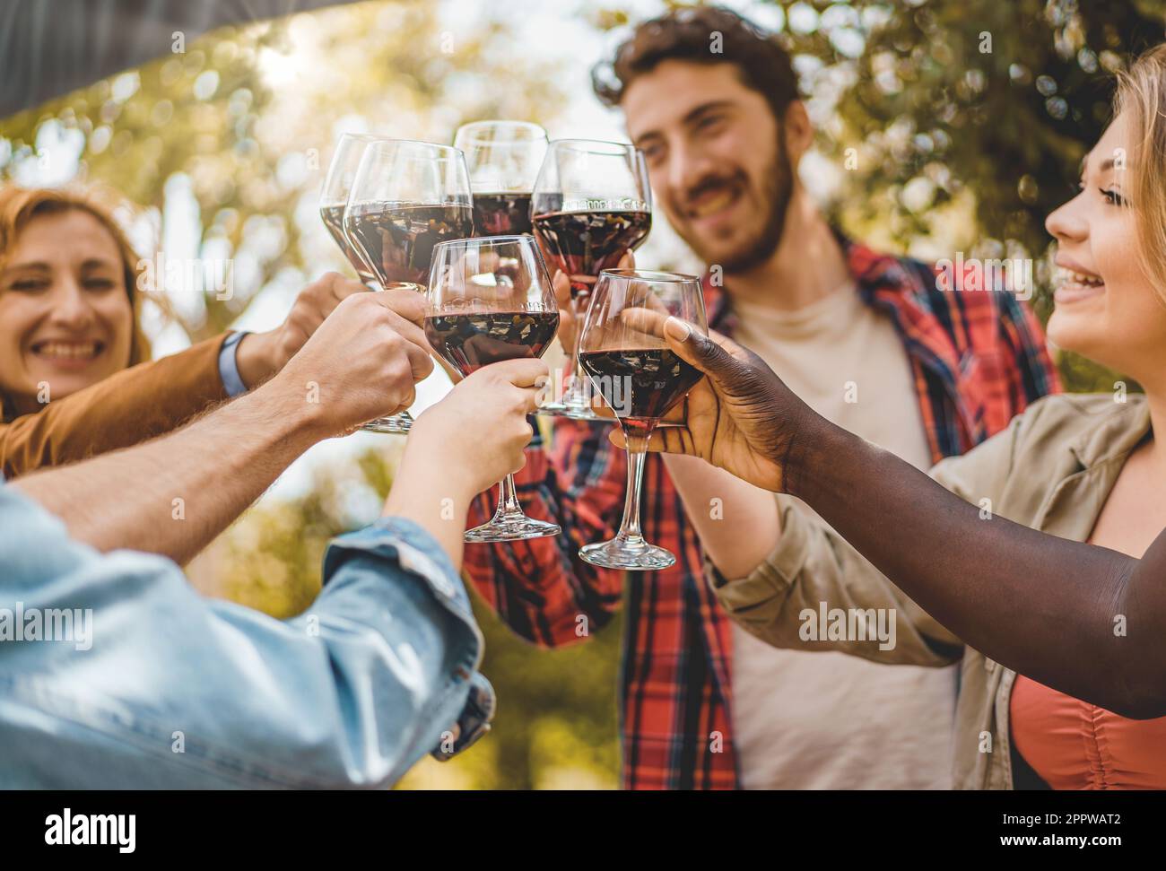 Close-up of wine glasses clinking in an outdoor toast among diverse ...