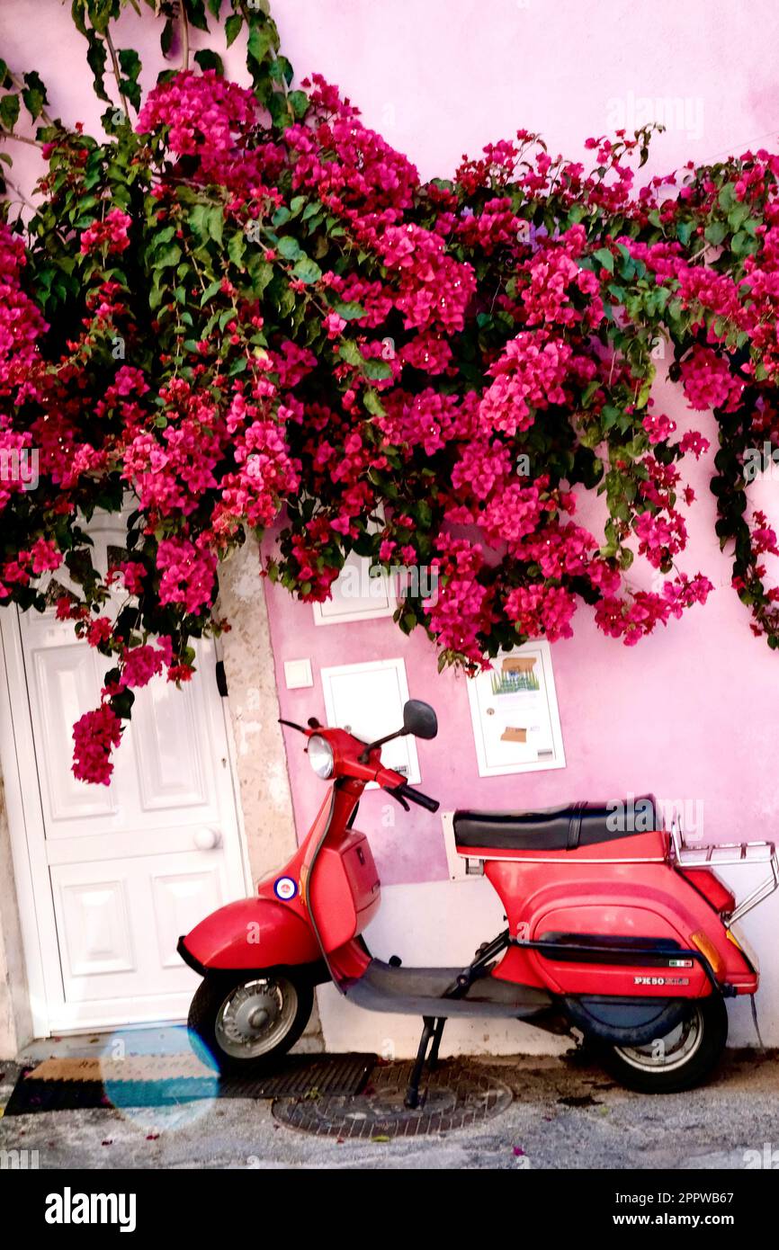 red moped and hibiscus street scene, Lisbon Stock Photo - Alamy