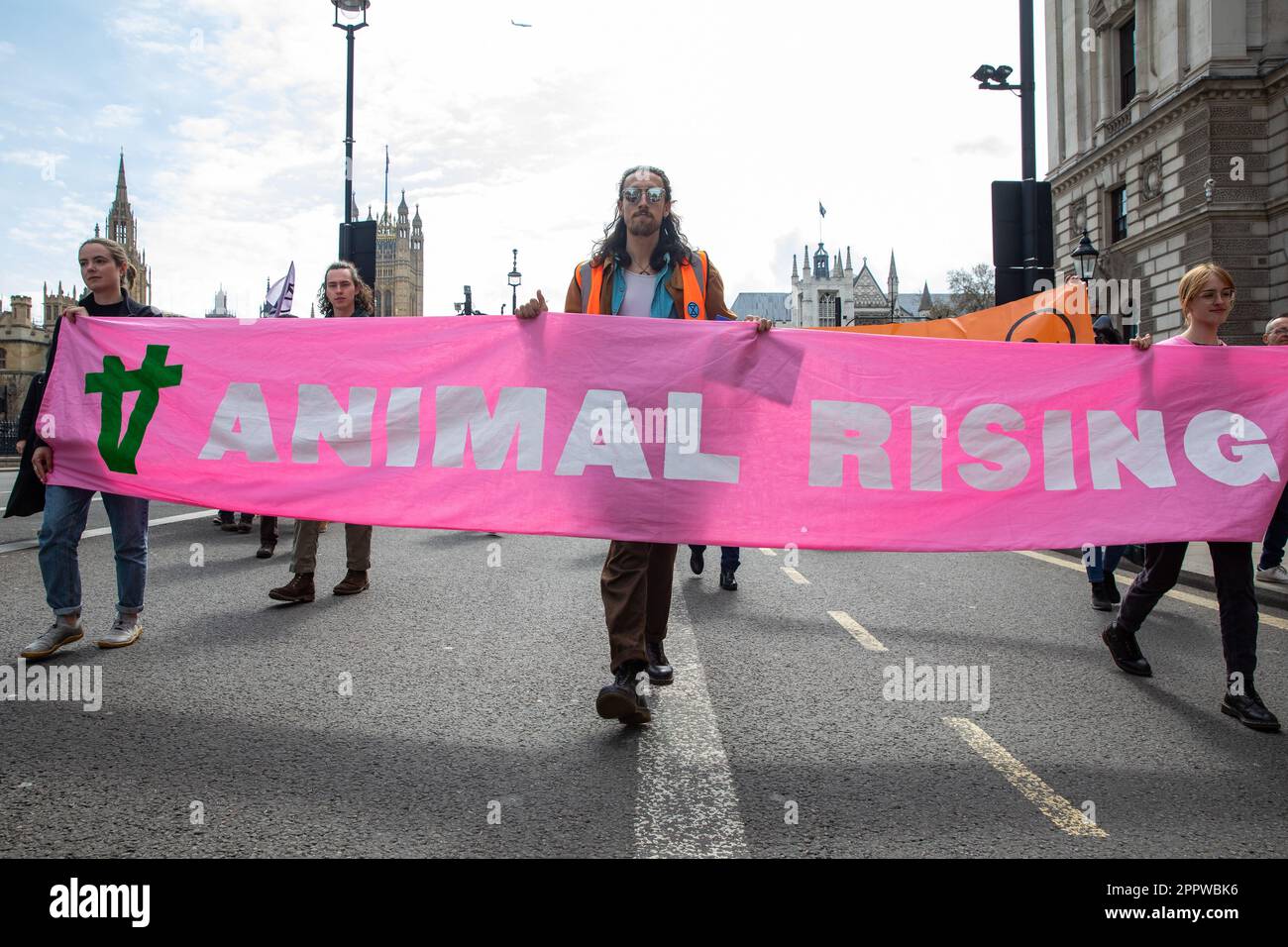 Animal rising banner hi-res stock photography and images - Alamy