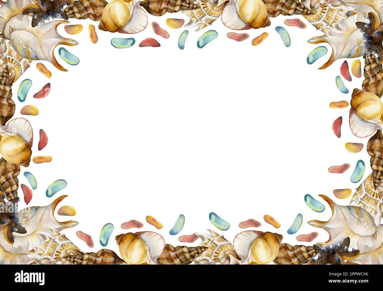 Seashell Page Border
