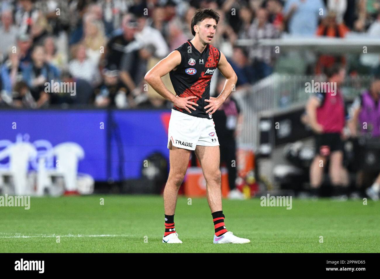 Nic Martin of Essendon looks on after being defeated by Collingwood in ...