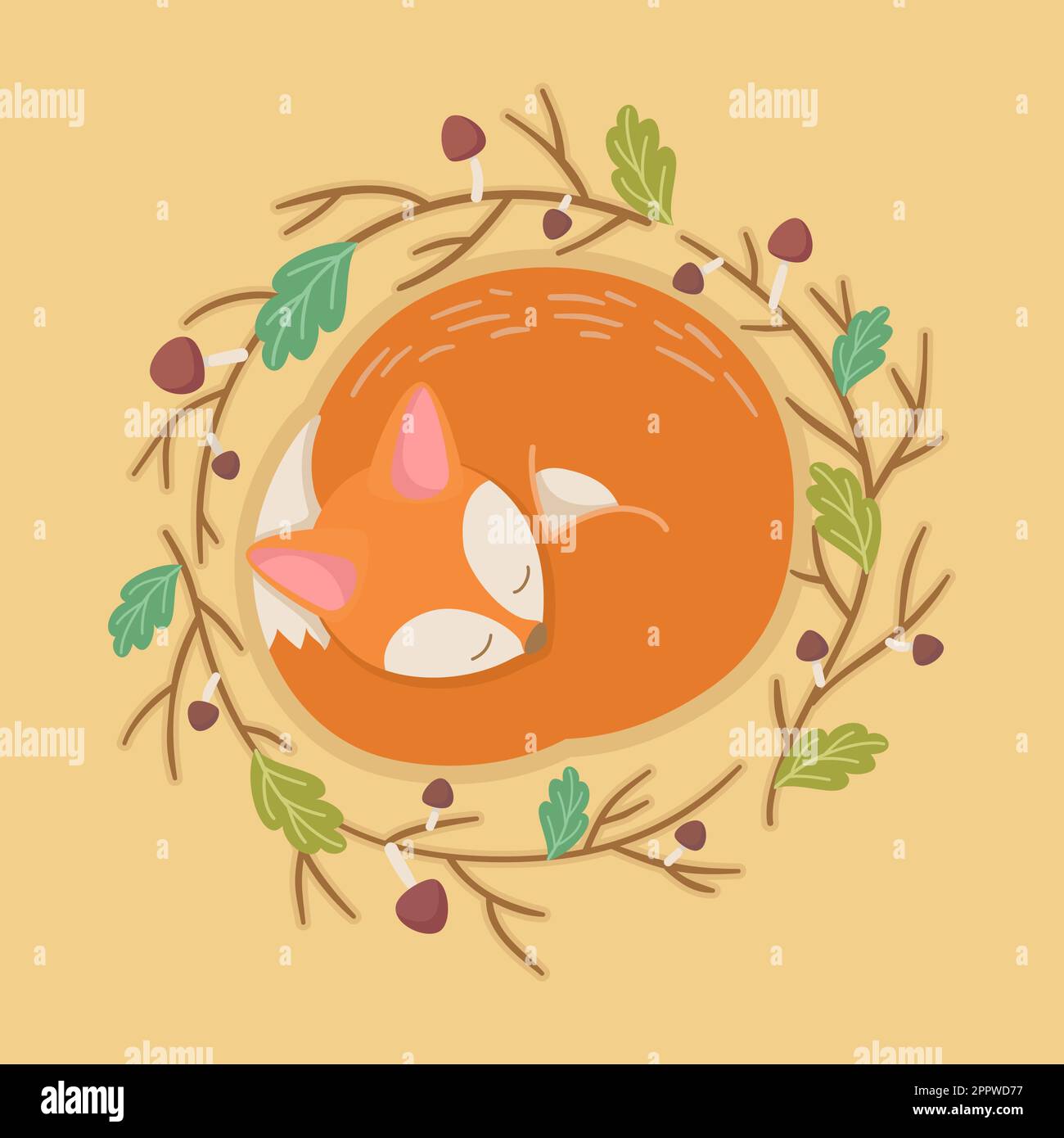 cute cartoon sleeping fox Stock Vector Image & Art - Alamy