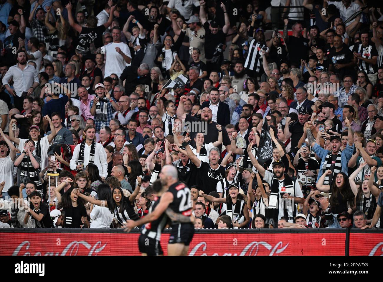 Collingwood fans show support during the AFL Round 6 match between the ...