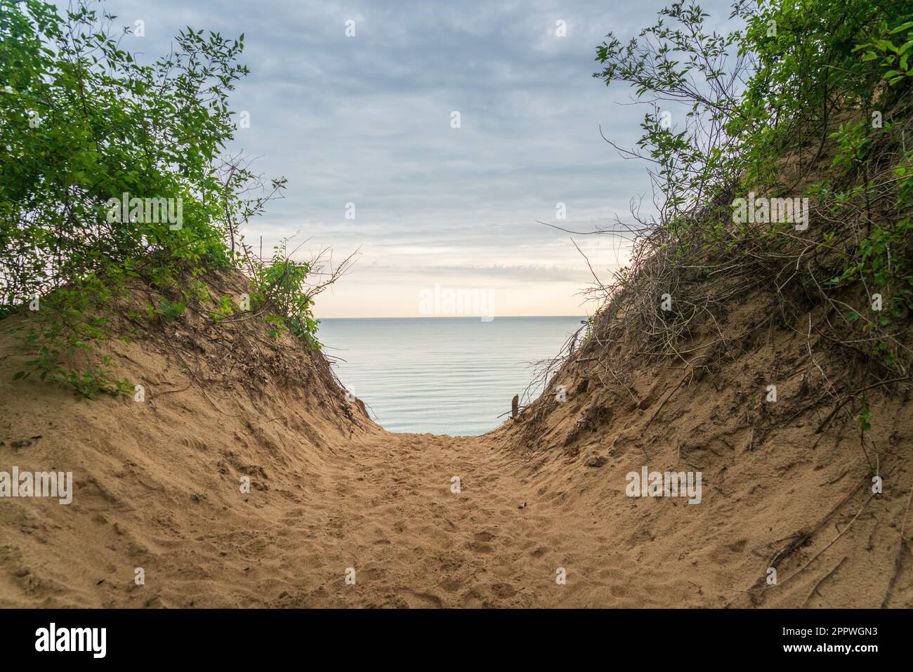 Indiana dunes forest trail hi-res stock photography and images - Alamy