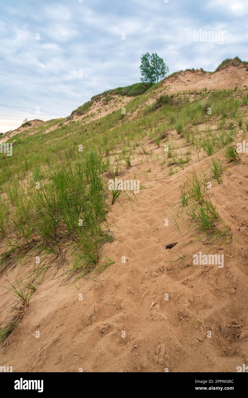 Lake Michigan's Indiana Dunes National Park Stock Photo - Alamy