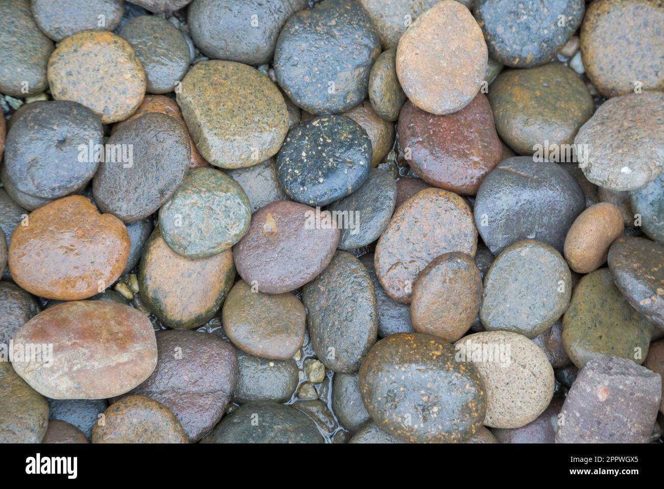 Wet rock river texture background Stock Photo - Alamy
