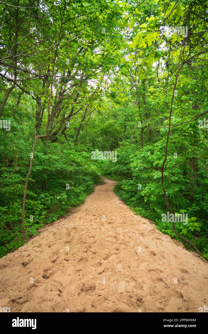 Indiana dunes national park hiking hi-res stock photography and images ...