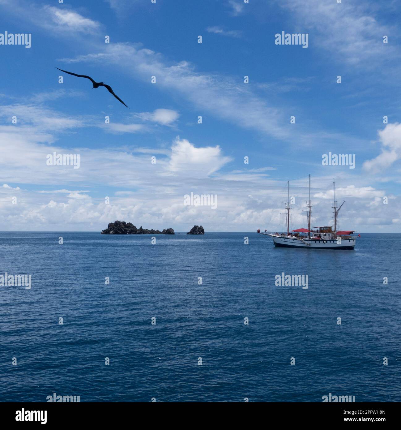 Devils crown galapagos hi-res stock photography and images - Alamy