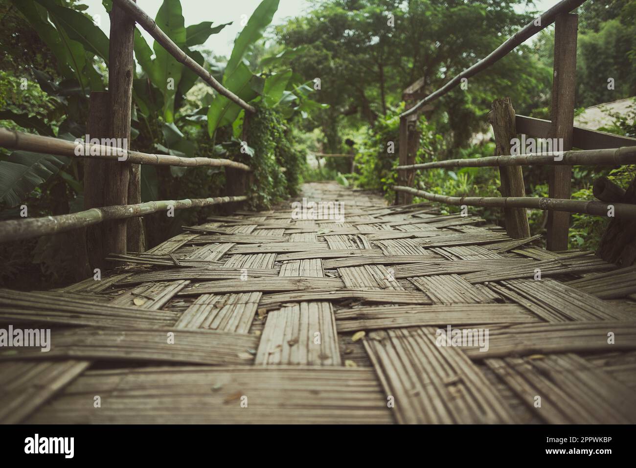 Close-up of a woven bamboo bridge in rural landscape, Thailand Stock ...